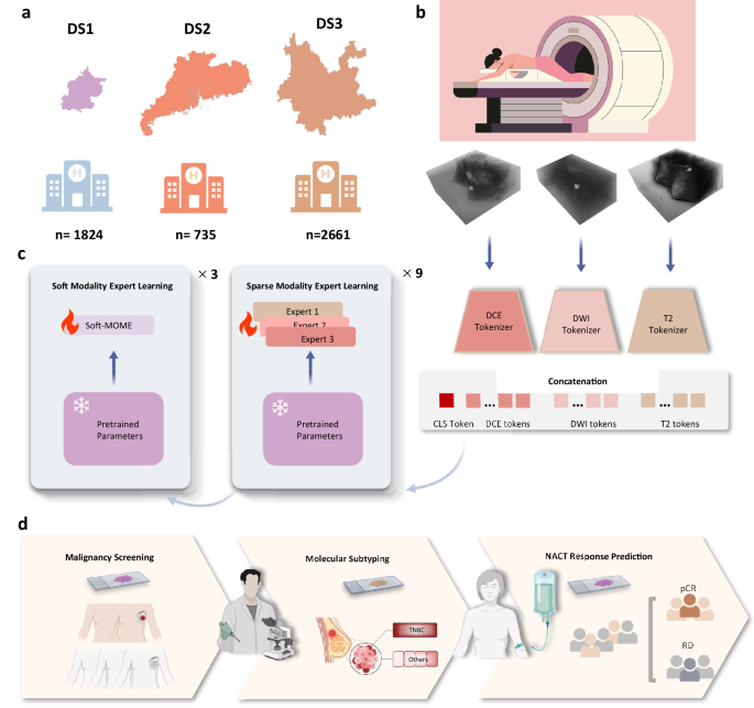 A large model for non-invasive and personalized management of breast ...
