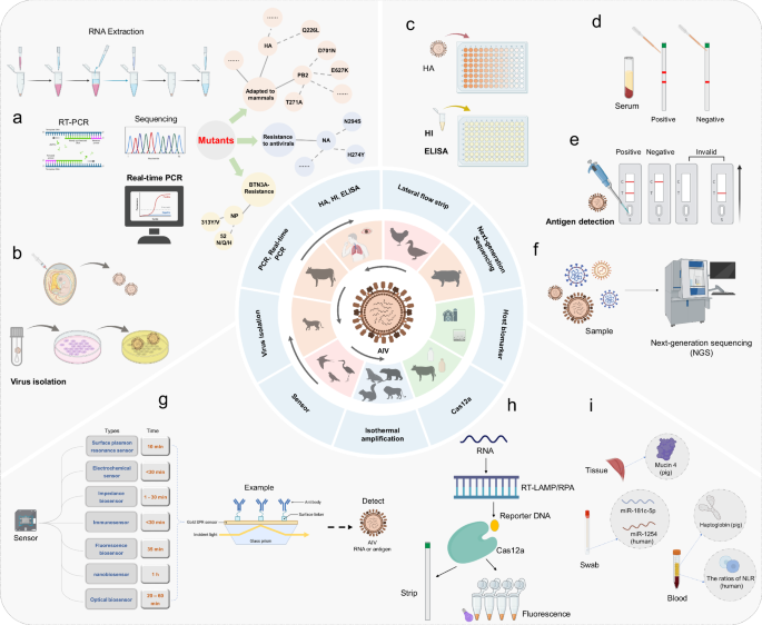 Prevention and control of avian influenza virus: Recent advances in ...