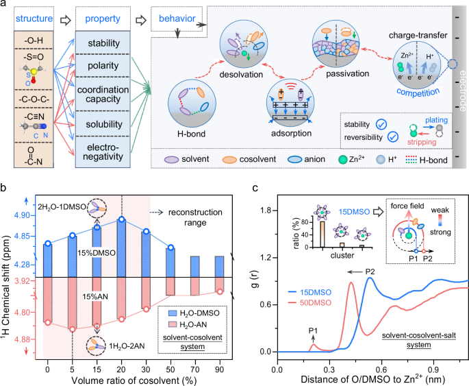Deciphering multi-dimensional interfacial mechanisms via organic ...