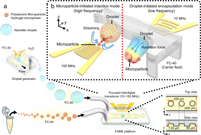 An acoustofluidic embedding platform for rapid multiphase microparticle ...