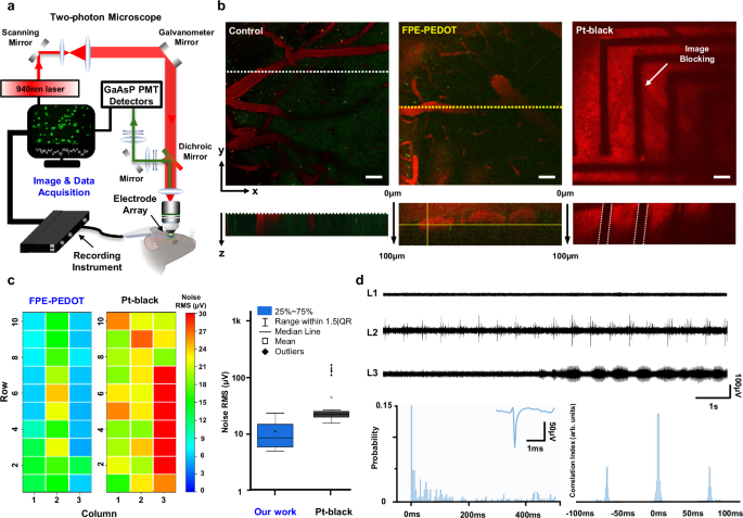 Transparent, metal-free PEDOT:PSS neural interfaces for simultaneous ...