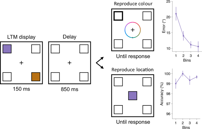 Focusing attention in working and long-term memory through dissociable ...