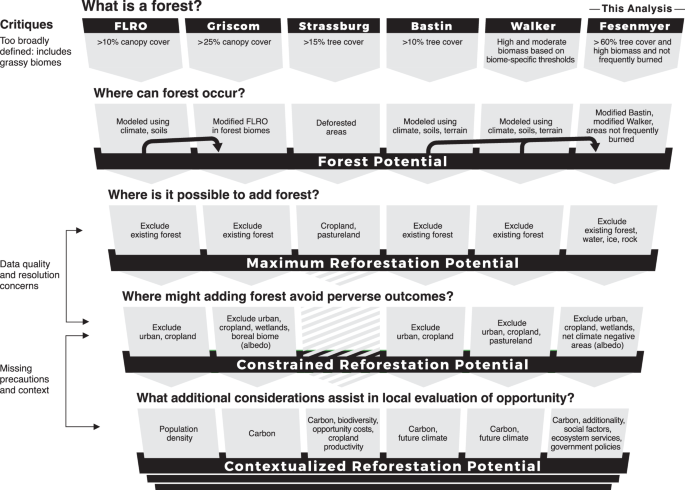 Addressing critiques refines global estimates of reforestation ...
