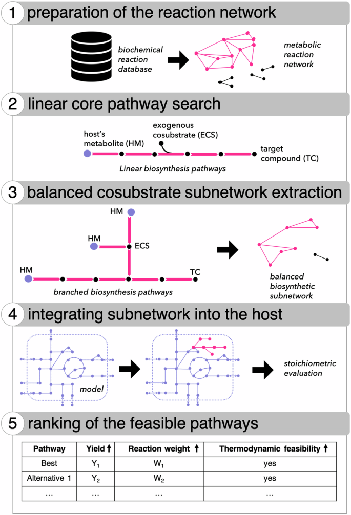 Designing pathways for bioproducing complex chemicals by combining ...
