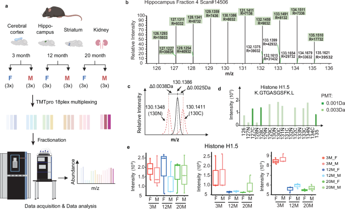 Expanding the landscape of aging via orbitrap astral mass spectrometry ...