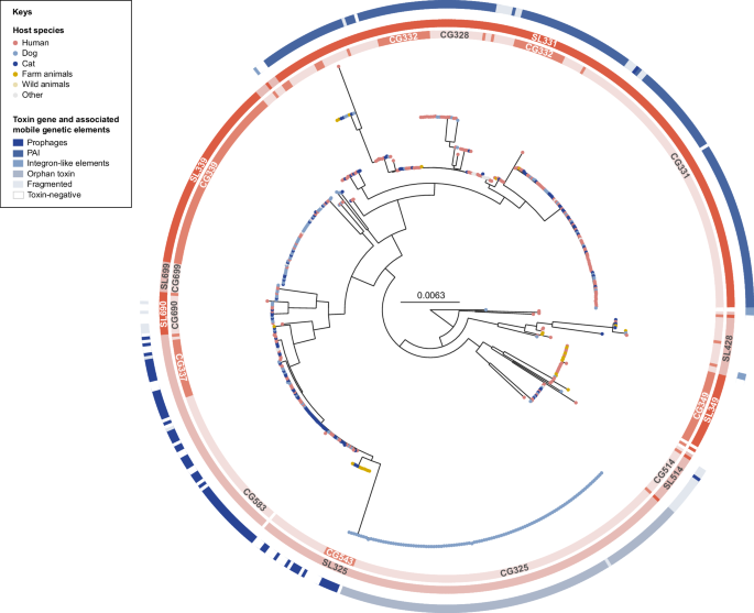 Microevolution and genomic epidemiology of the diphtheria-causing ...