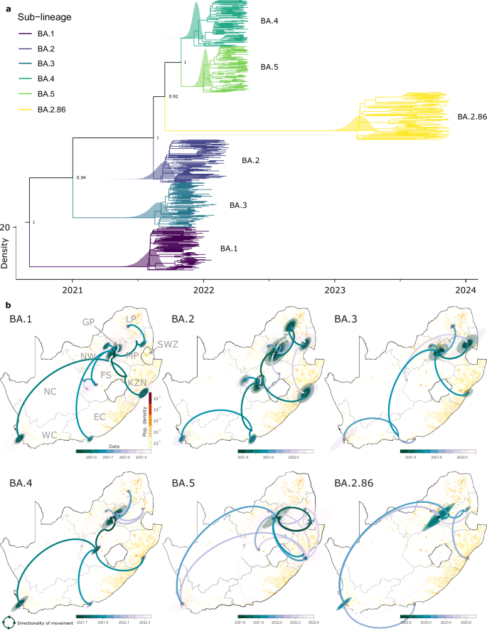 Tracing the spatial origins and spread of SARS-CoV-2 Omicron lineages ...