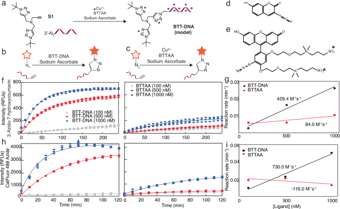 inCu-click: DNA-enhanced ligand enables live-cell, intracellular click ...