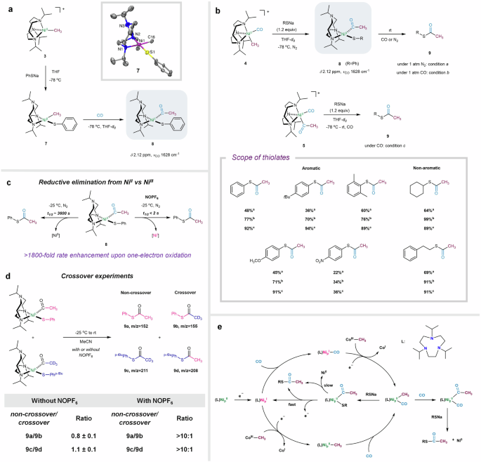 The mechanism of acetyl-CoA synthase through the lens of a nickel model ...