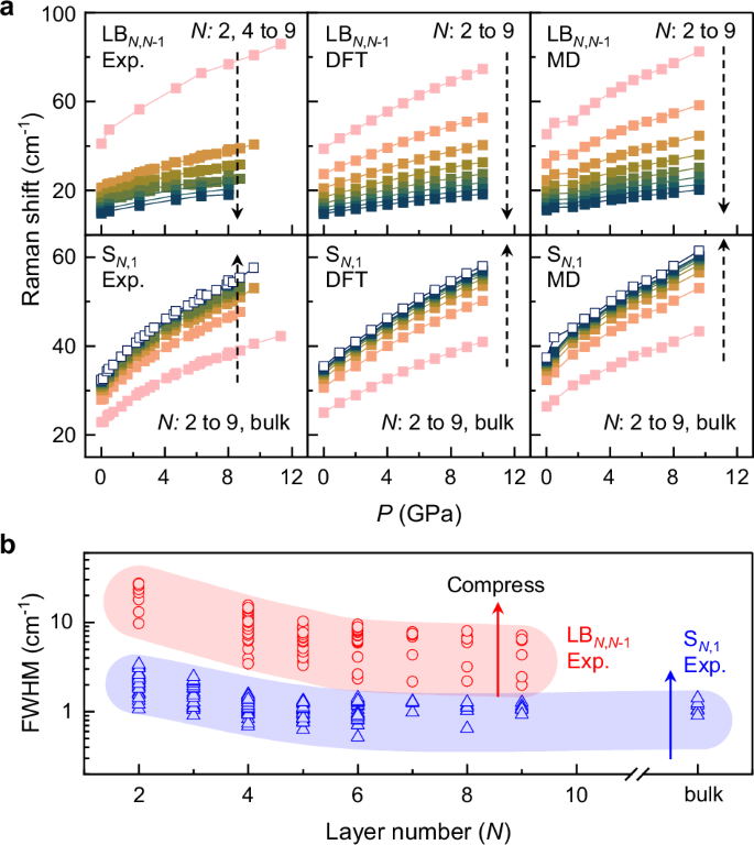Interlayer engineering of lattice dynamics and elastic constants of 2D ...