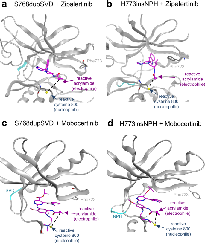 Poziotinib for EGFR exon 20-insertion NSCLC: Clinical efficacy of the ...