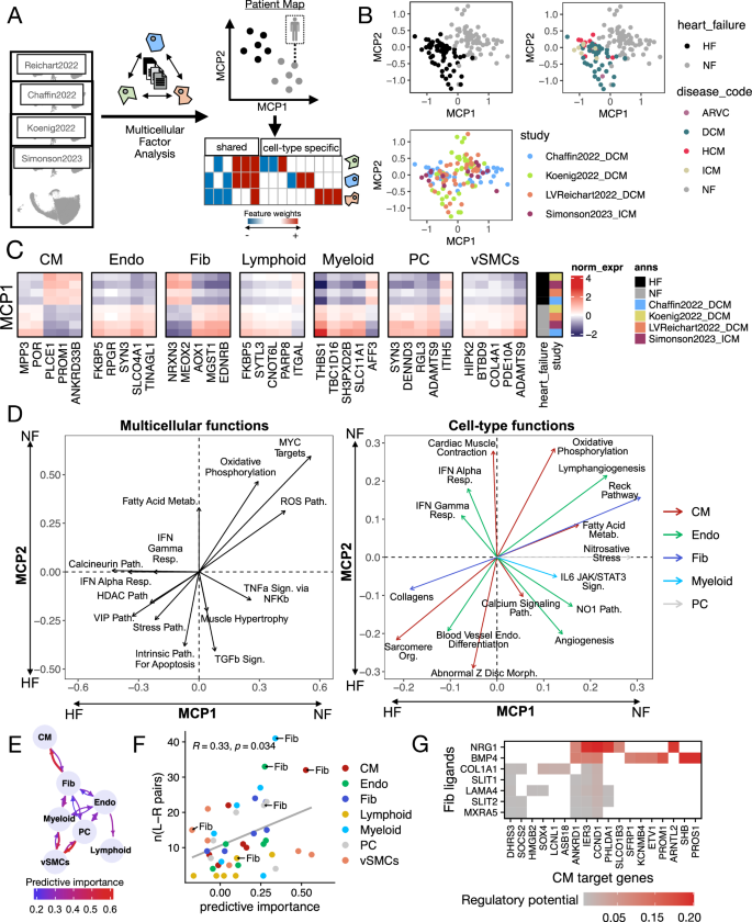 A cross-study transcriptional patient map of heart failure defines ...