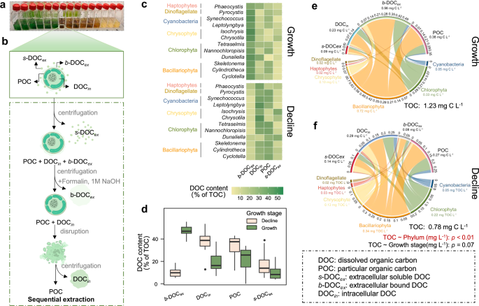 The role of phytoplankton in structuring global oceanic dissolved ...
