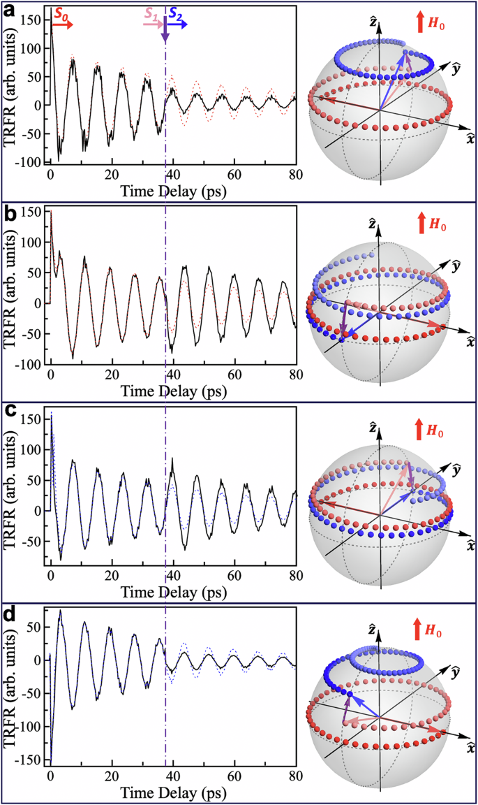 Chirality-driven spin dynamics and manipulation in all-inorganic chiral ...