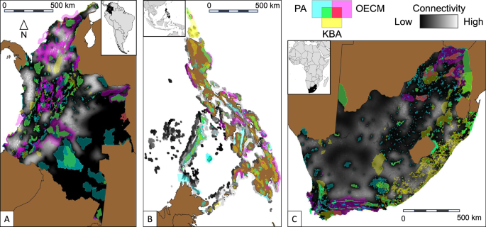 The contribution of other effective area-based conservation measures ...