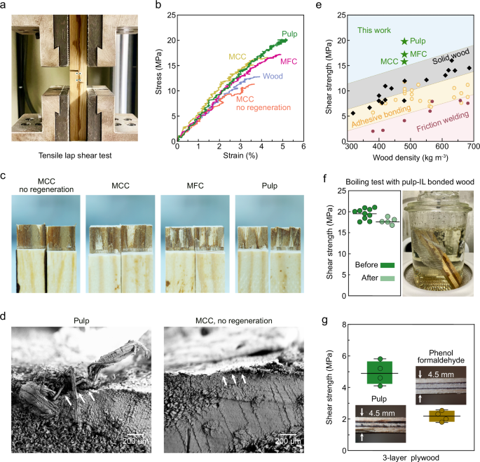 Multiscale interface engineering enables strong and water resistant ...
