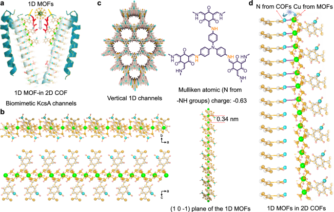 Biomimetic KcsA channels enabled by 1D MOF-in-2D COF | Nature ...