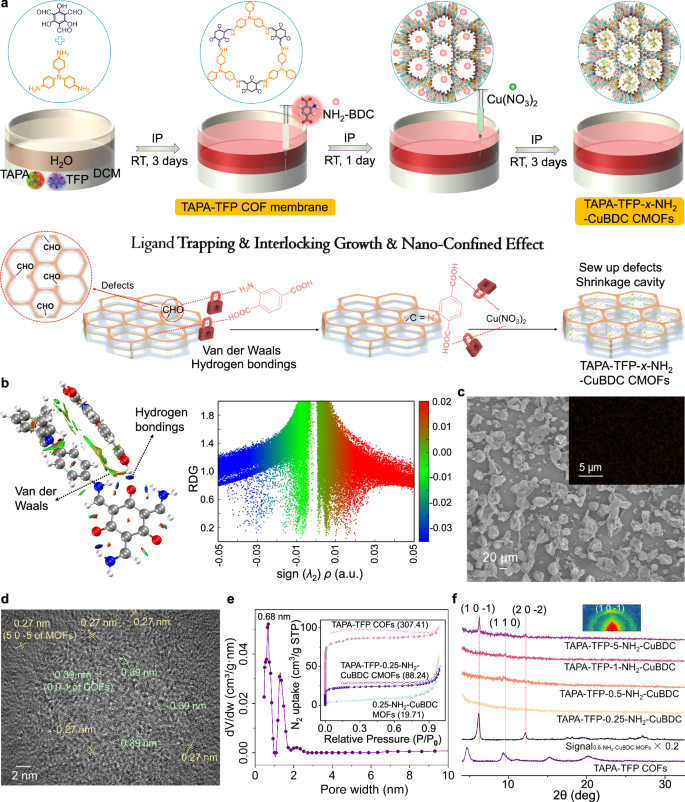 Biomimetic KcsA channels enabled by 1D MOF-in-2D COF | Nature ...