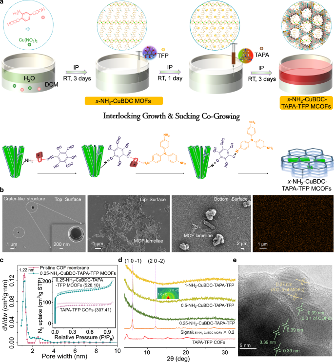 Biomimetic KcsA channels enabled by 1D MOF-in-2D COF | Nature ...
