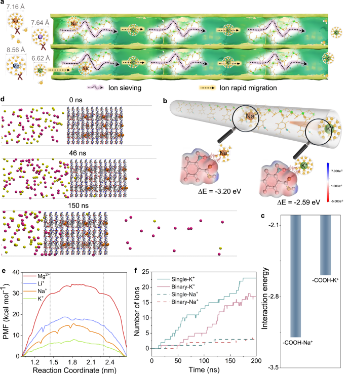 Biomimetic KcsA channels enabled by 1D MOF-in-2D COF | Nature ...