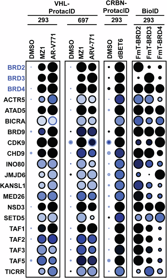 Characterization of PROTAC specificity and endogenous protein ...