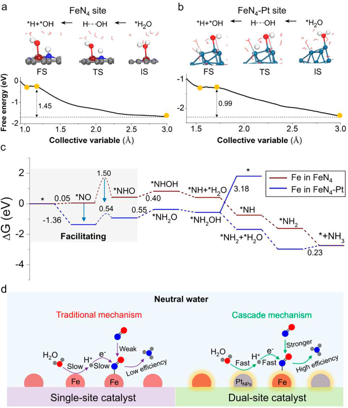 Electrosynthesis of NH3 from low-concentration NO on cascade dual-site catalysts in neutral ...