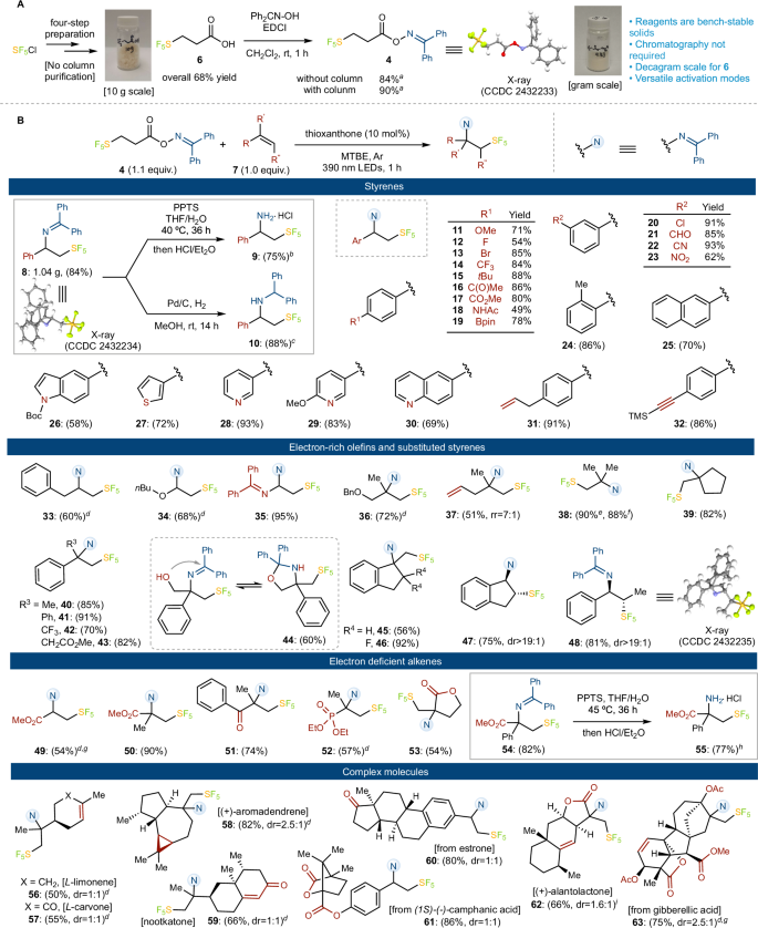 Bench-stable reagents for modular access to persulfuranyl scaffolds ...