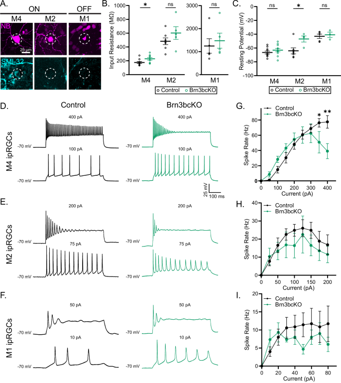 Genetic tuning of retinal ganglion cell subtype identity to drive ...