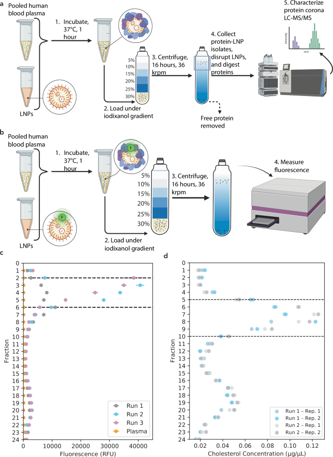 Protein corona formed on lipid nanoparticles compromises delivery ...