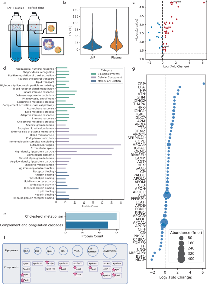 Protein corona formed on lipid nanoparticles compromises delivery ...