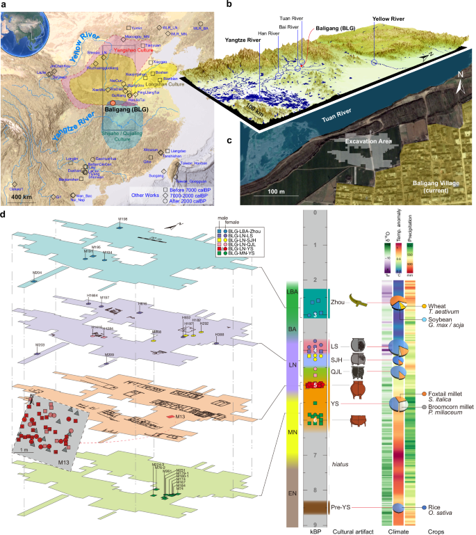 Ancient DNA reveals the population interactions and a Neolithic ...