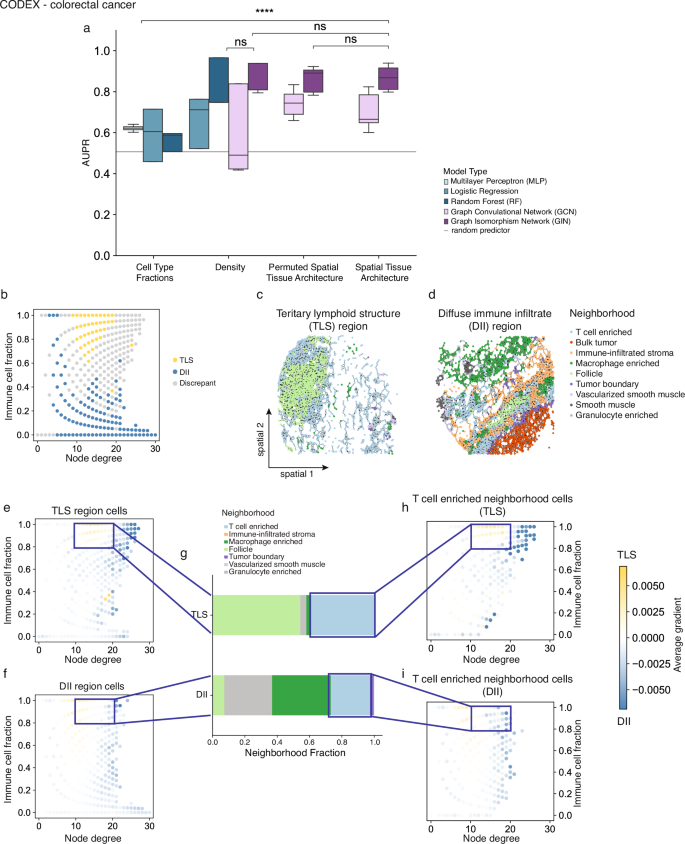 Graph neural networks learn emergent tissue properties from spatial ...