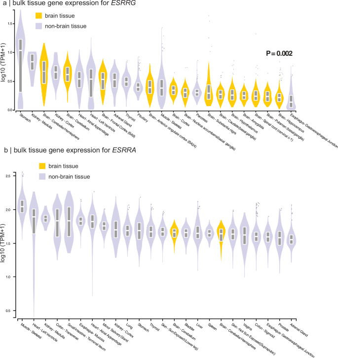 Estrogen-related receptor gene expression associates with sex ...