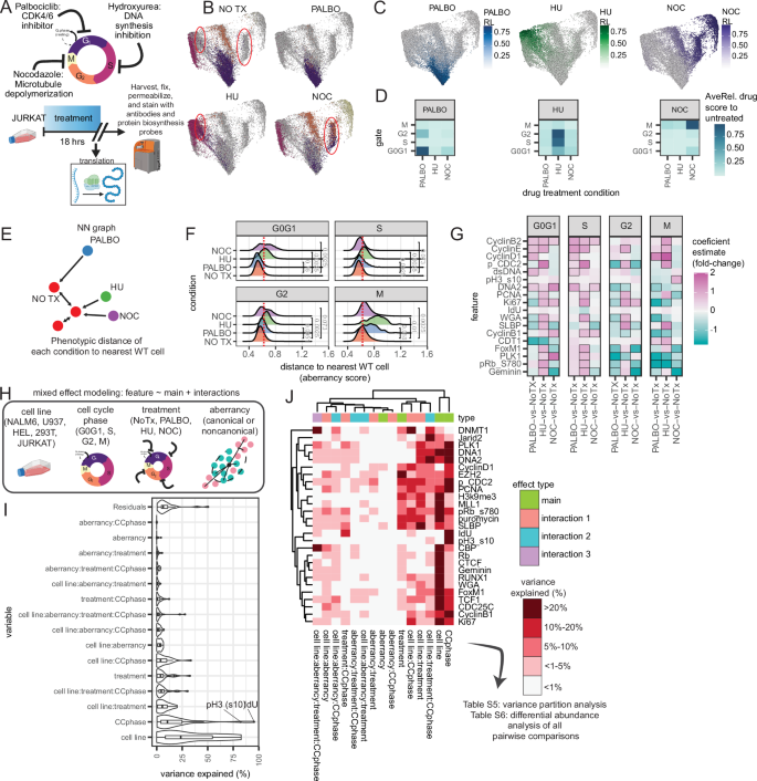 A deep single cell mass cytometry approach to capture canonical and ...