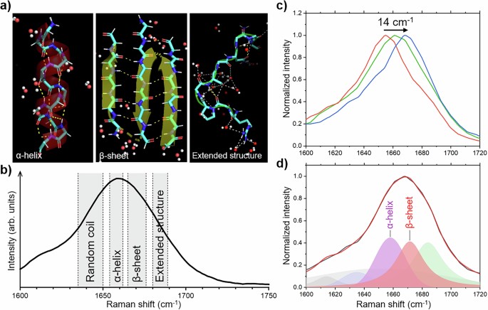 In situ secondary structure imaging of protein phase separation and ...