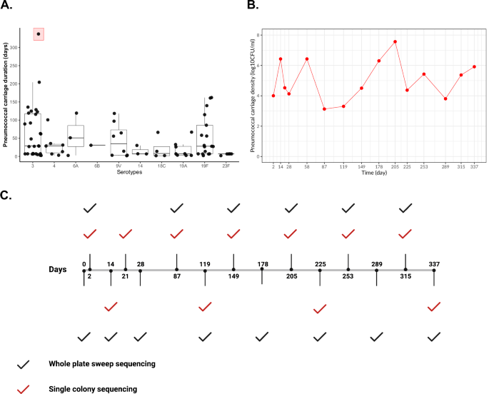 Within-host genetic diversity of pneumococcal serotype 3 during one ...