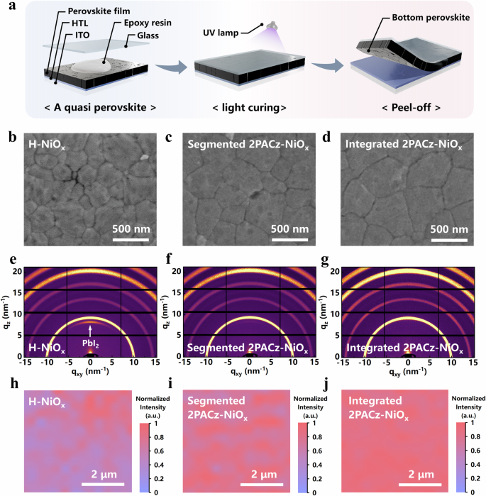In situ coordinated HTL strategy for high-performance and scalable ...