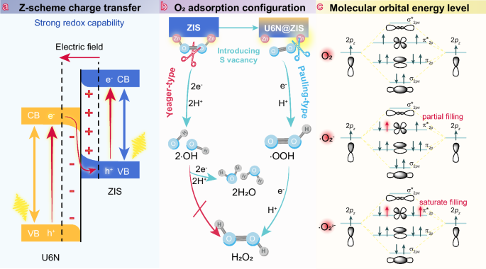 Defect-modulated oxygen adsorption and Z-scheme charge transfer for ...