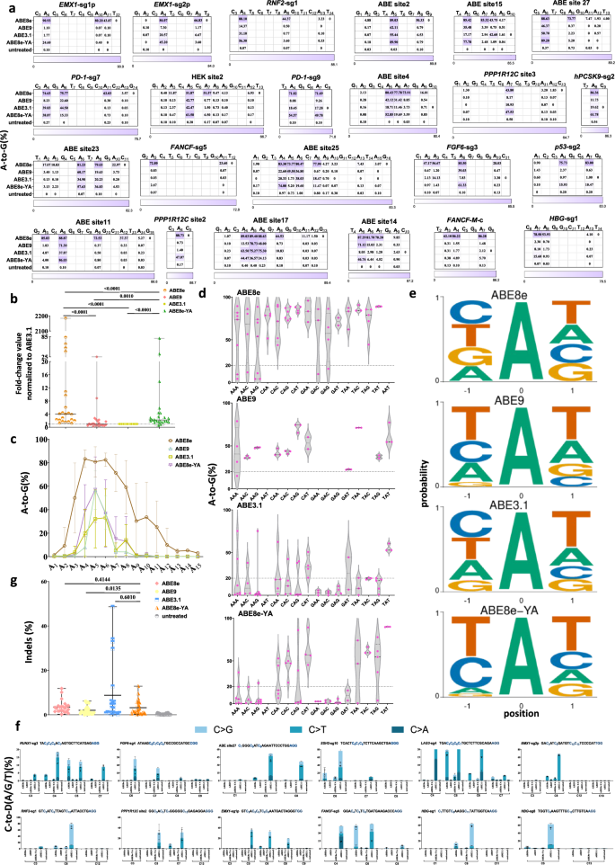 A motif preferred adenine base editor with minimal bystander and off ...