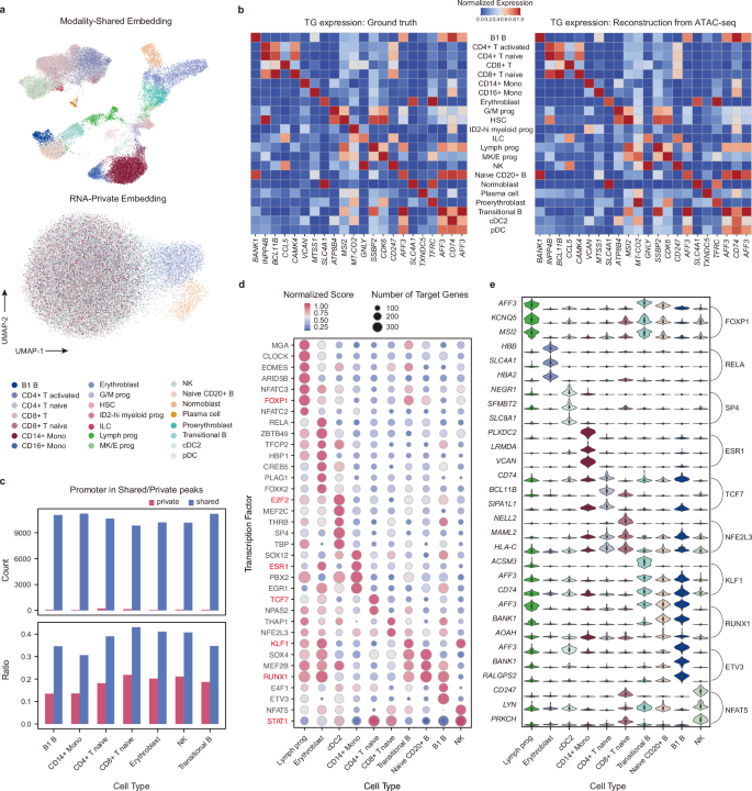 scTFBridge: a disentangled deep generative model informed by TF-motif binding for gene ...