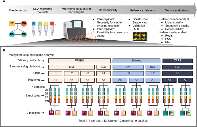 Methylation reference datasets from quartet DNA materials for benchmarking epigenome sequencing ...