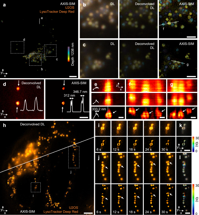 Near-isotropic super-resolution microscopy with axial interference ...
