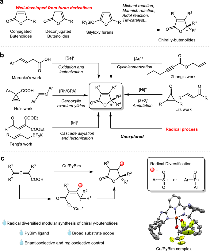 Copper-catalyzed enantioselective synthesis of γ-butenolides via ...