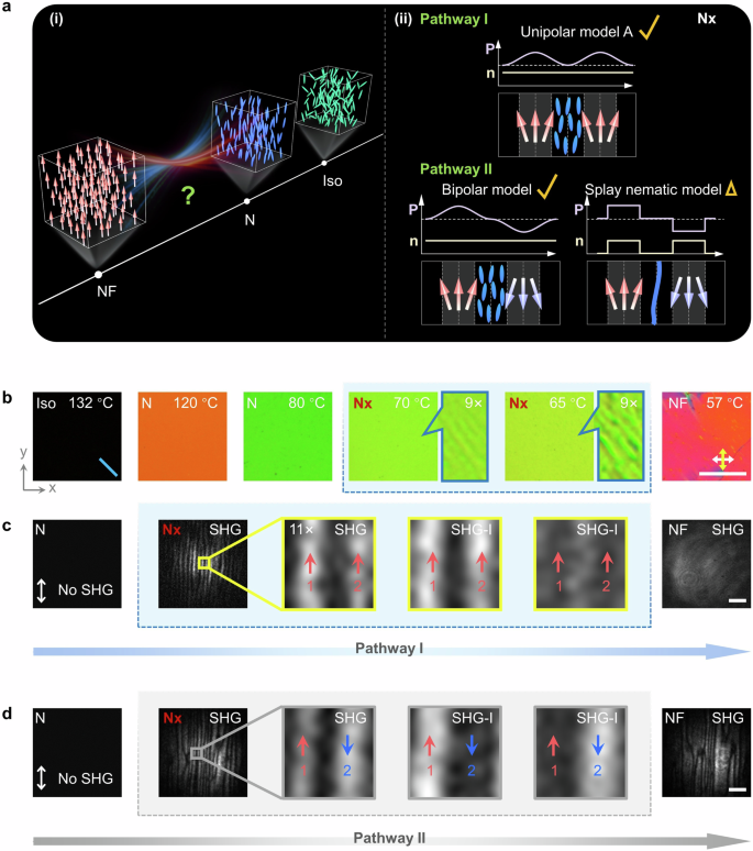 Periodically-modulated unipolar and bipolar orders in nematic fluids ...