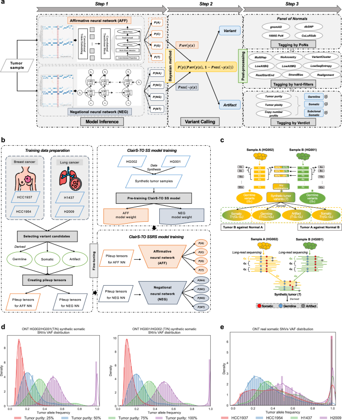 ClairS-TO: a deep-learning method for long-read tumor-only somatic small variant calling ...