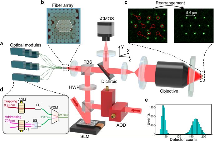A fiber array architecture for atom quantum computing | Nature ...