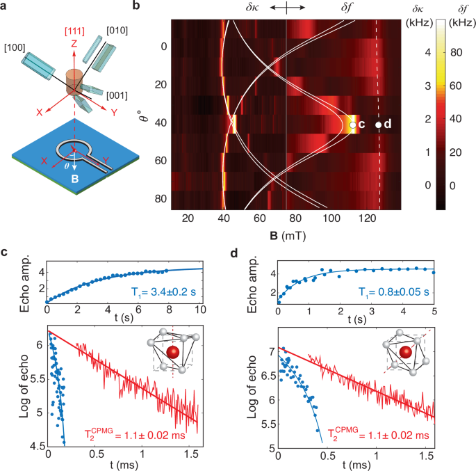 Dual epitaxial telecom spin-photon interfaces with long-lived coherence ...