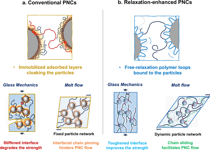 Relaxation-enhanced polymer nanocomposites induced by bound polymer ...