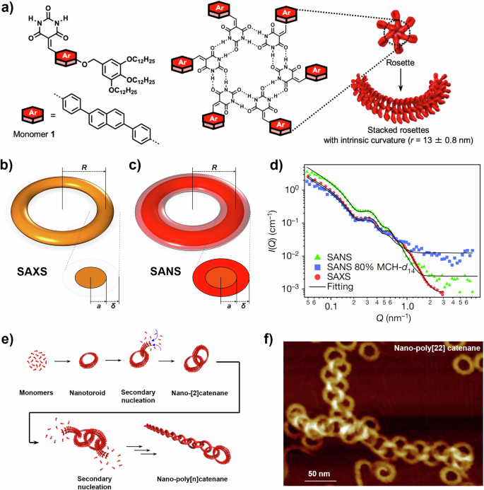 Using in-situ small-angle scattering to reveal the structure and ...