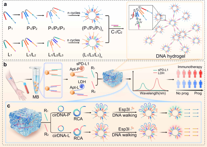 A multiplexed assay by self-assembled dual-target responsive DNA ...